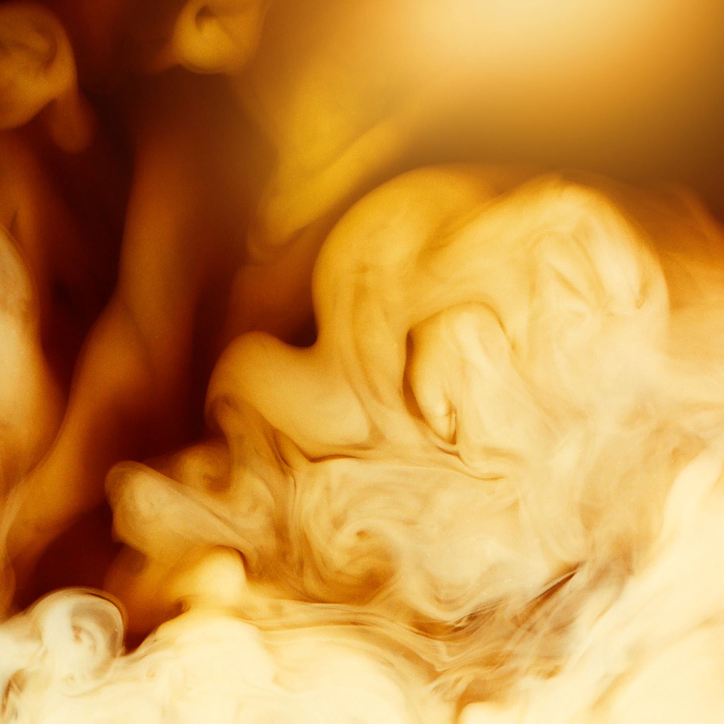 Nuestros productos | Jacobs MX